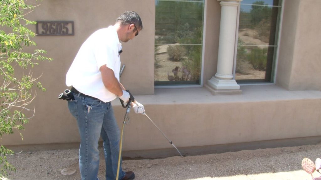 Termite Control in Phoenix, Arizona | KY-KO Pest Prevention